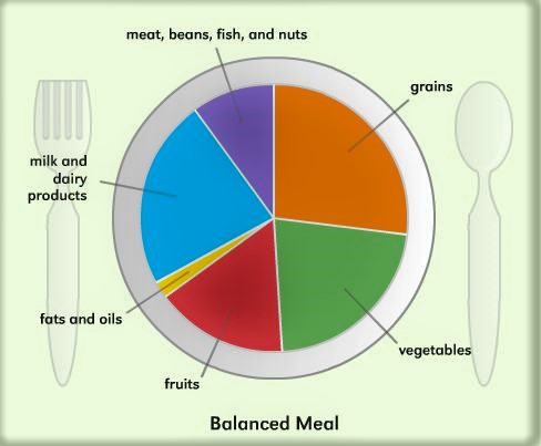 Macronutrients: The Building Blocks of a Healthy Diet | Kinnu